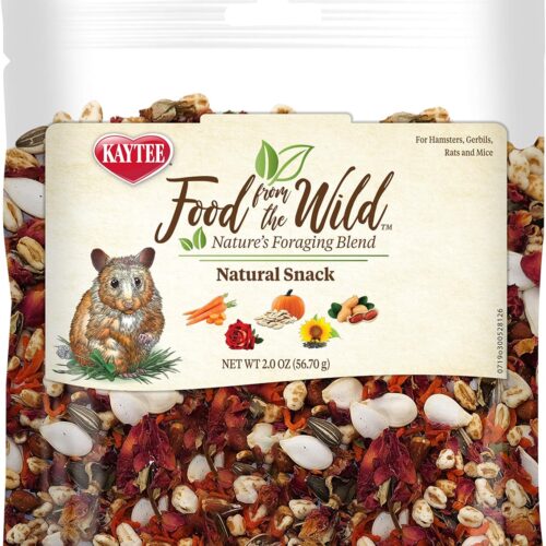 Pet Mice Mouse Essentials | amfthings.com