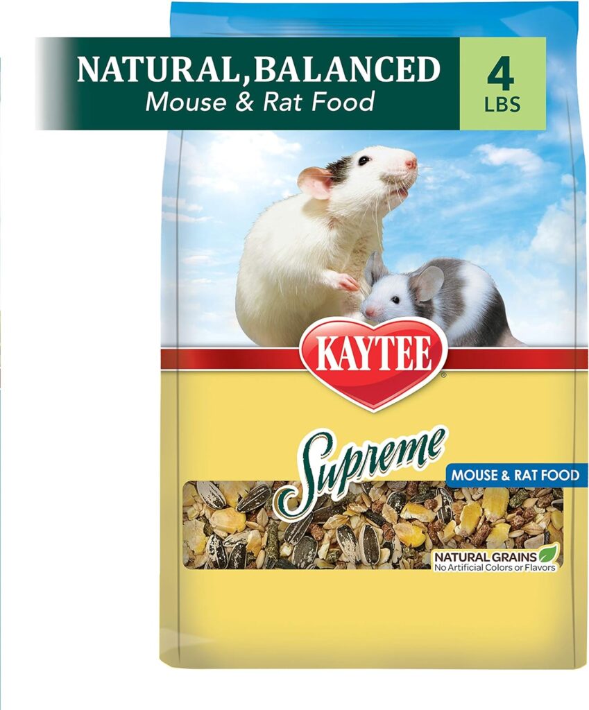 Pet Mice Mouse Essentials | All My Favorite Things