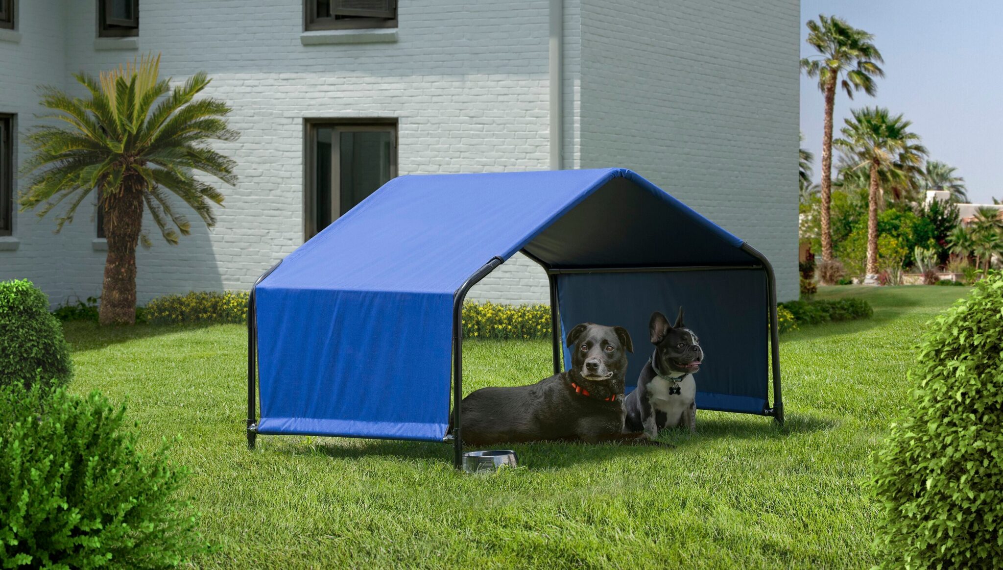 Make Your Backyard Dog-Friendly This Spring & Summer With These Simple ...