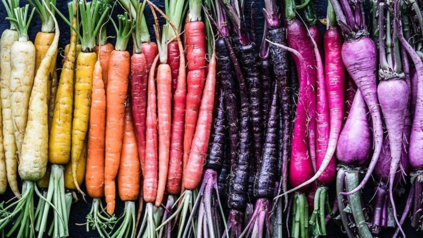 Different Types of Carrots – How to Prepare & History | All My Favorite ...