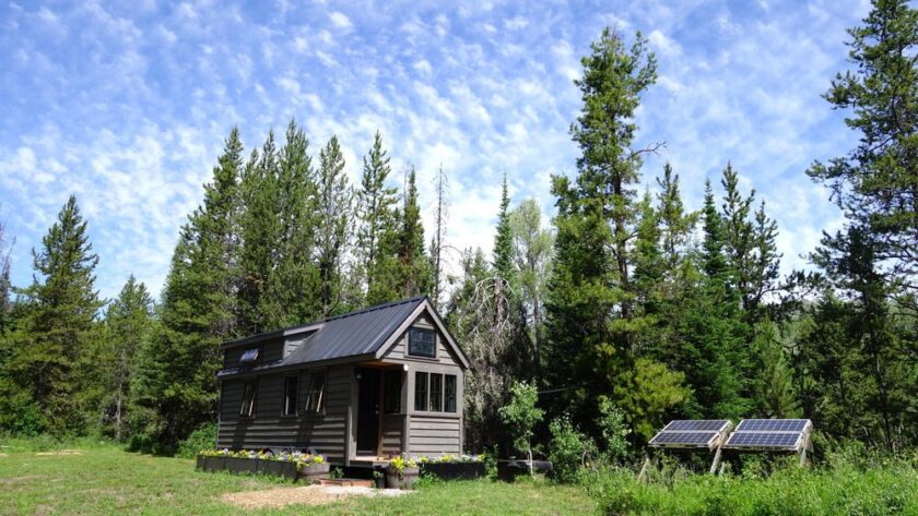 9 Different Types of Preppers – Which One Are You? | All My Favorite Things